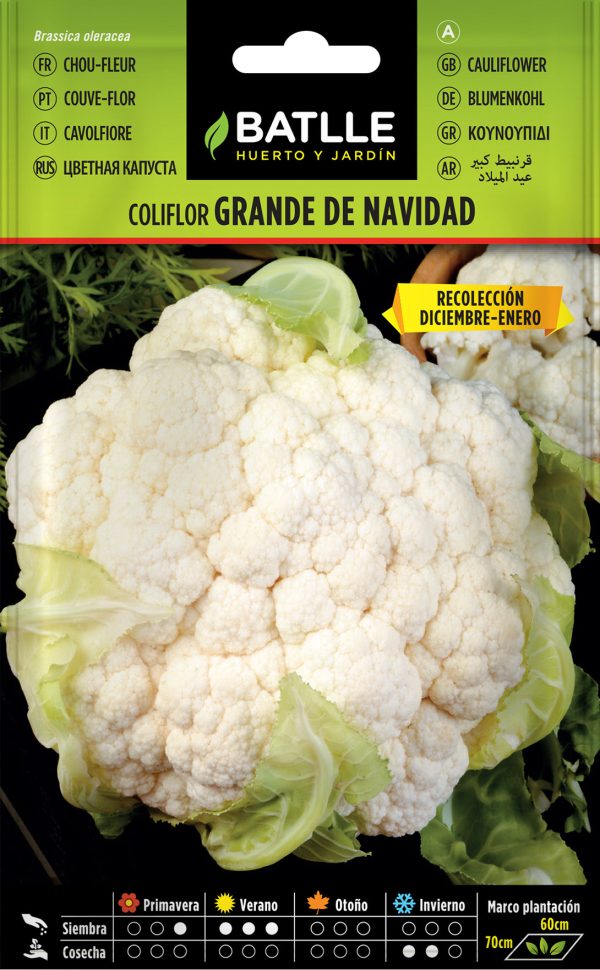 Semilla Coliflor Grande De Navidad - Tecnicampo